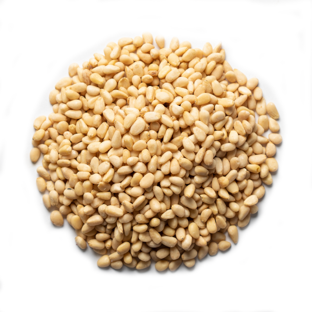 Pine Nut Canada Nut
